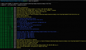 How to Debug Your Node.js Application on OpenShift with Chrome DevTools - Red Hat Developer