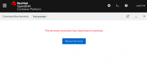 What's new in Red Hat OpenShift's Web Terminal Operator 1.2 - Red Hat ...
