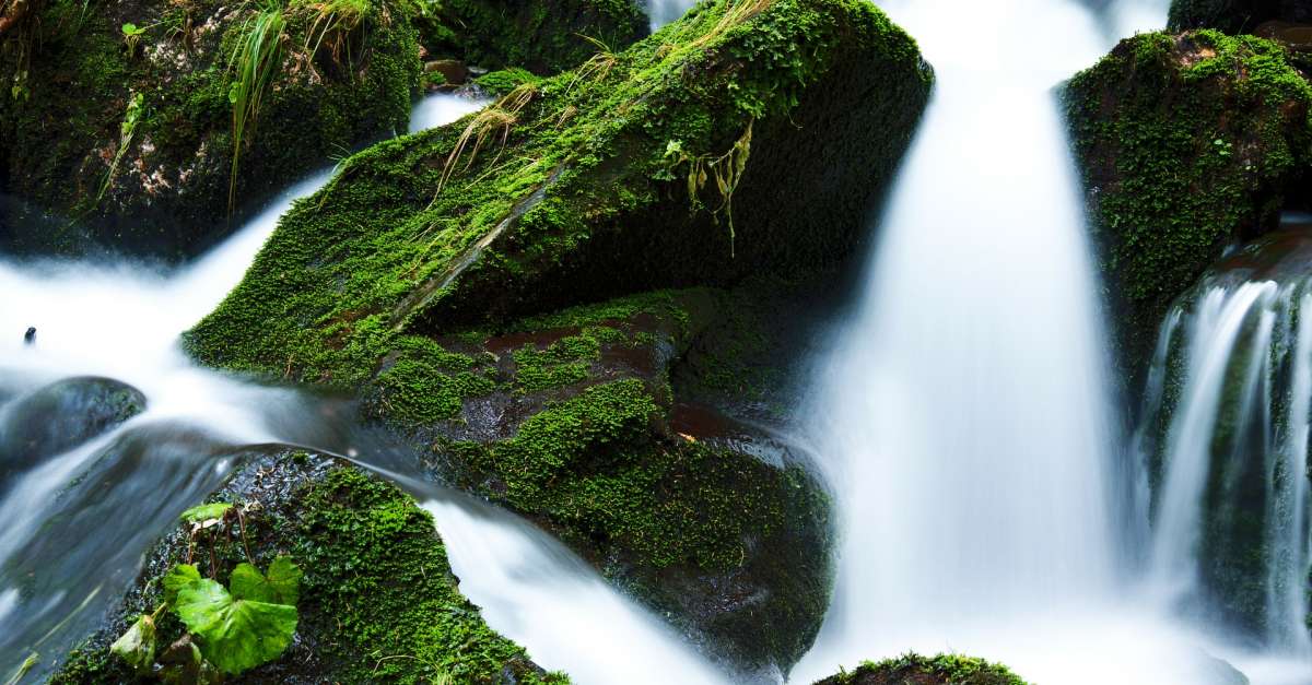 C 8 Asynchronous Streams Red Hat Developer
